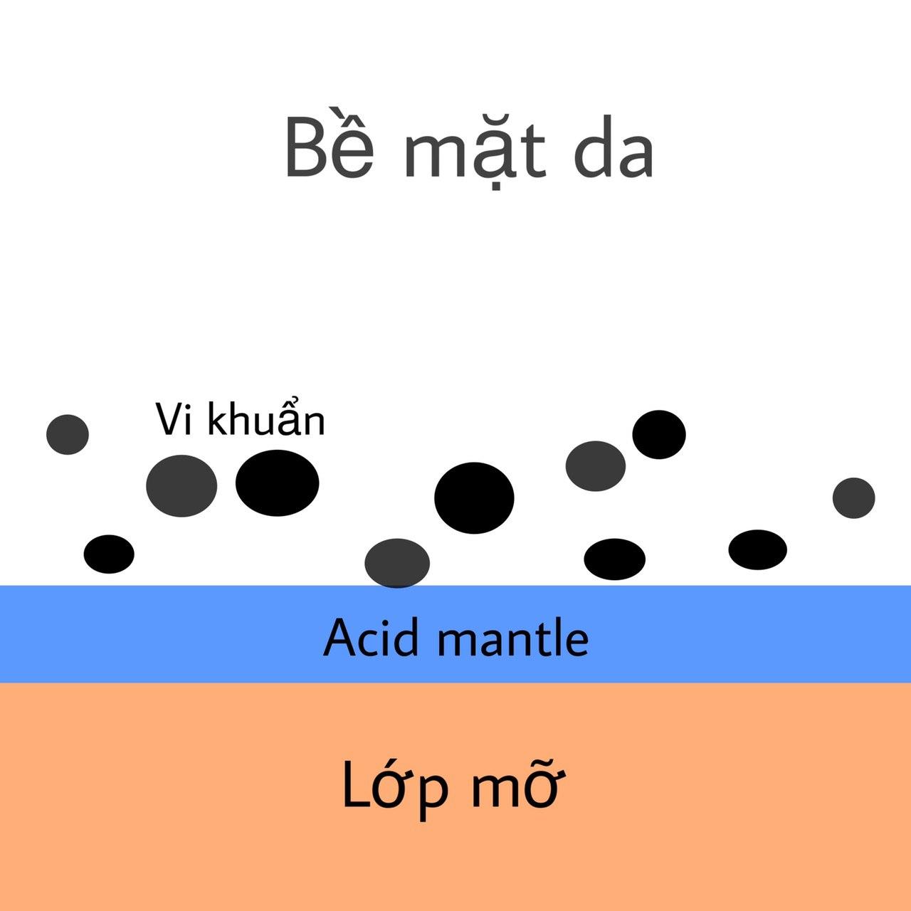 Acid Mantle là gì? Tầm quan trọng của Acid Mantle đối với da